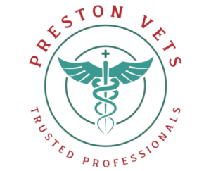 Veterinary Services In Preston – Preston Vets